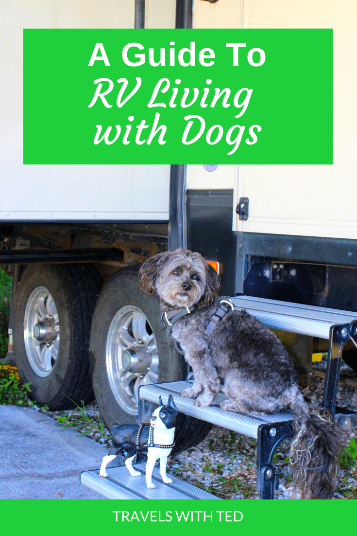 RV Living with Dogs: A Complete Guide Travels with Ted