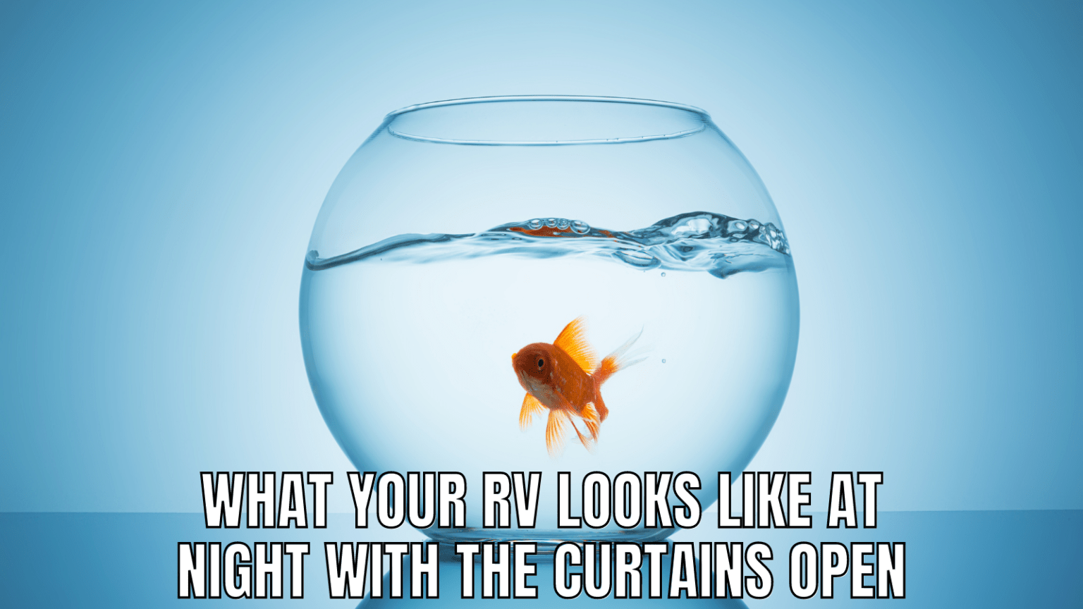 40 Funny RV Camping Memes to Inspire Belly Laughs