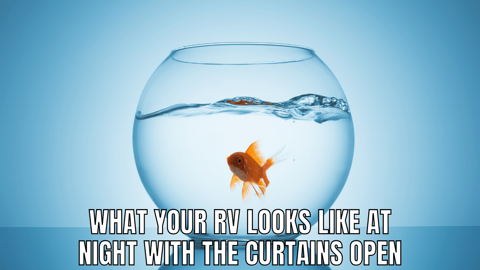 40 Funny RV Camping Memes to Inspire Belly Laughs