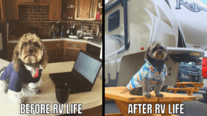 40 Funny RV Camping Memes to Inspire Belly Laughs