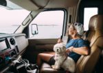 RV Living with Dogs: A Complete Guide Travels with Ted