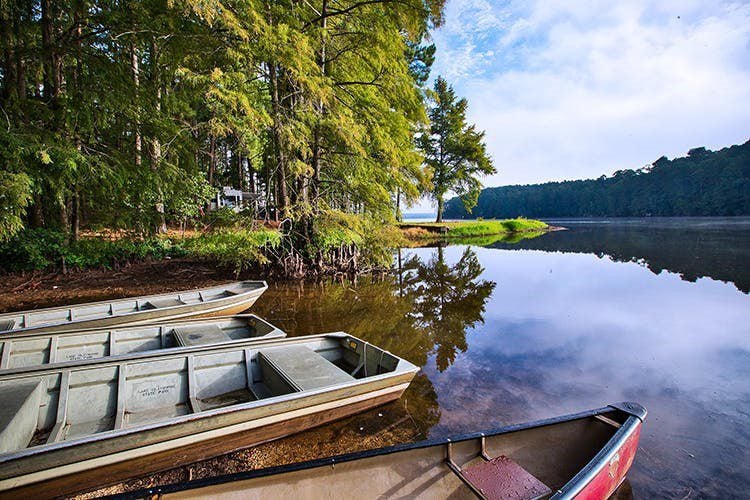 15 Best RV Parks & Campgrounds in Louisiana